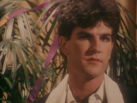 Split Enz - Person | AudioCulture
