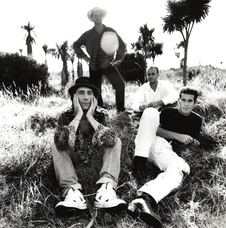 The Exponents Discography - AudioCulture