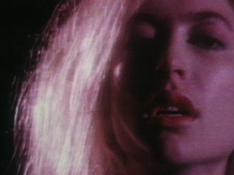 The Exponents - Person | AudioCulture