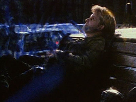 The Bats - Person | AudioCulture