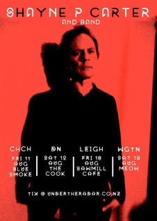 Shayne Carter - Person | AudioCulture