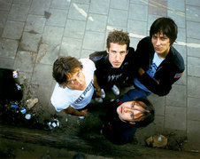 The D4 - Person | AudioCulture