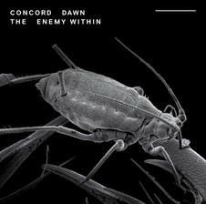 Concord Dawn - Person | AudioCulture