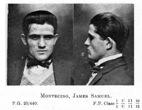 AudioCulture - The noisy library of New Zealand music