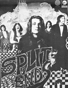 Split Enz - Person | AudioCulture