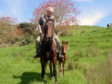 Tommy Ferguson - Person | AudioCulture